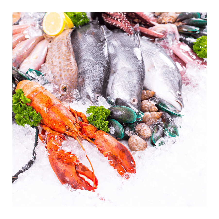 Step-by-Step Guide to Finding Scientific Names of Fish and Seafood