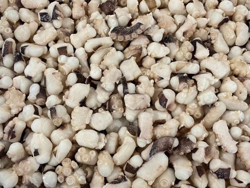 Frozen Baby Octopus, Baseafood - Vietnam seafood supplier