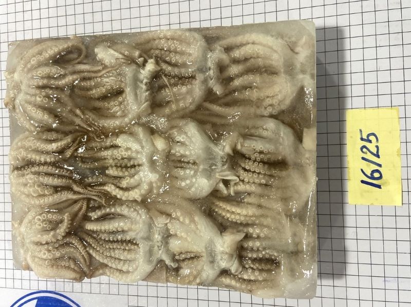 Frozen Double Skin Octopus Butterfly Fillet, Iwadako, Baseafood